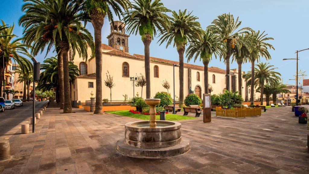 11 Things to Do in Costa Adeje (Tenerife)